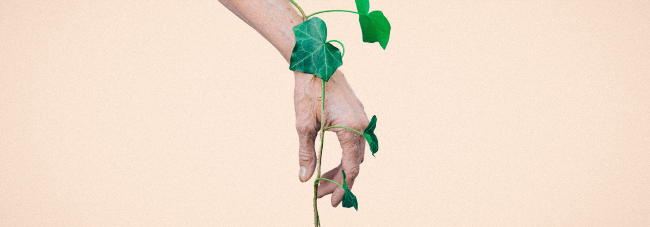 Was Sie im Todesfall von uns erwarten können | PUBLICA